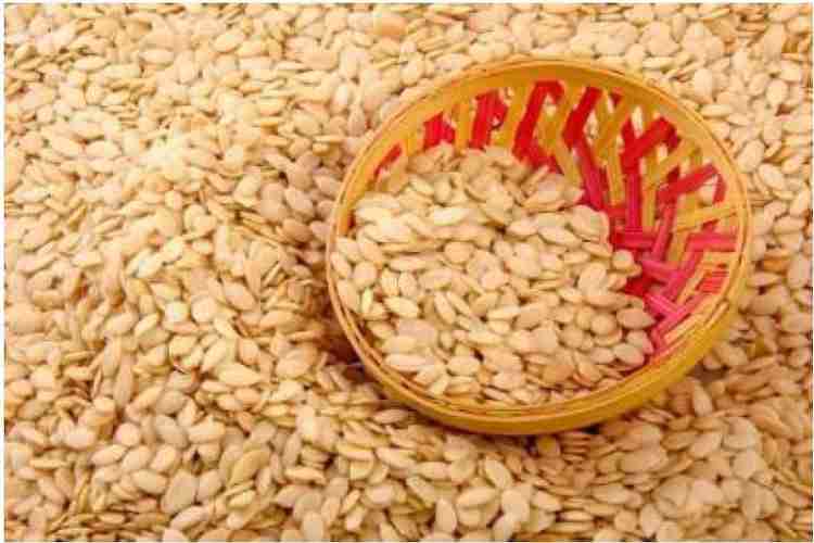 UGRA Foot Desi Kachri Quality Fruit Seeds Seed Price in India - Buy ...