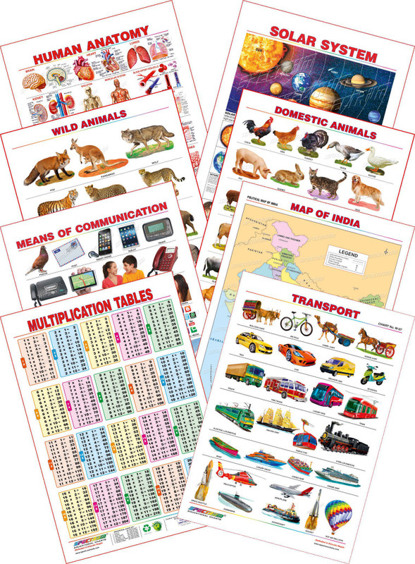 Spectrum Kids 1st Learning Charts S Set 29 Human Anatomy | Desertcart ...
