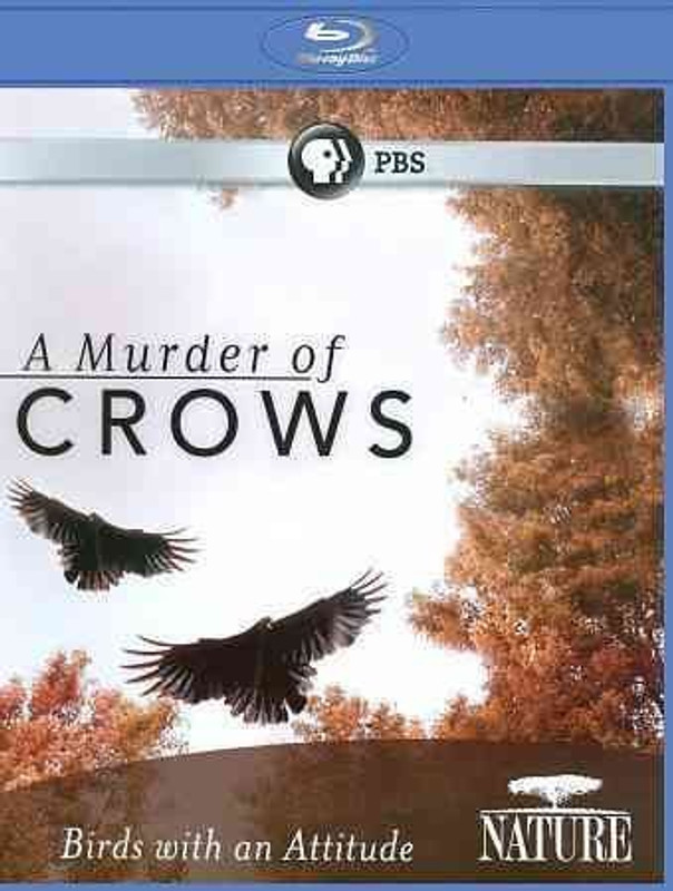 Buy NATURE:MURDER OF CROWS(Blu-ray English) Online at desertcartINDIA
