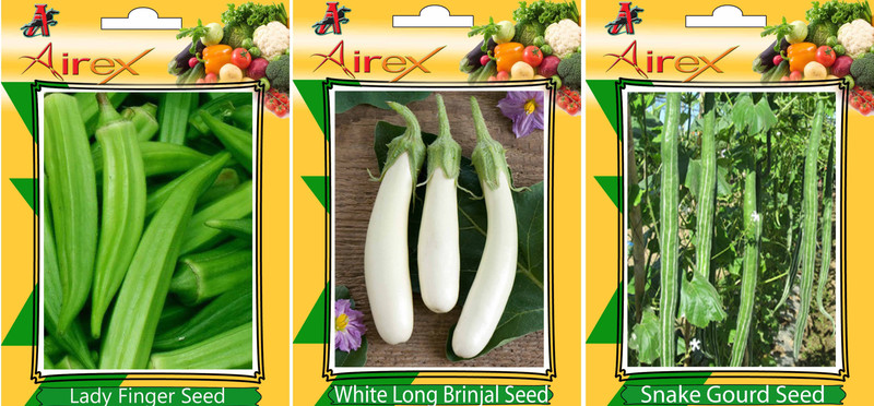 Buy Airex Lady Finger, Snake Gourd, White Long Brinjal Vegetables Seed ...