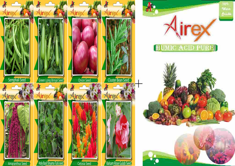 Buy Airex Semphali, Green Long Brinjal, Onion, Cluster Bean, Red ...