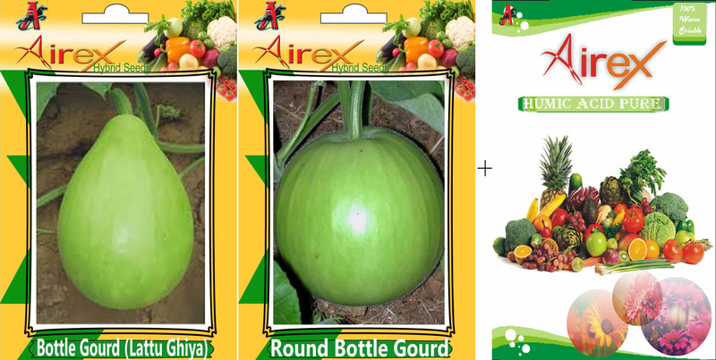 Airex Bottle Gourd Lattu Ghiya And Round Bottle Gourd Seed | Desertcart ...
