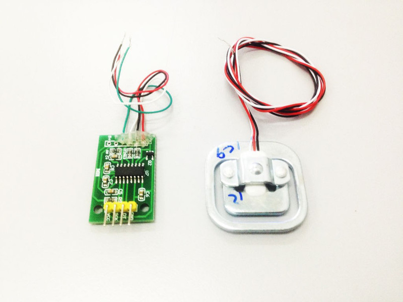 Buy TechWiz 50kg Load Cell weight sensor and amplifier HX711 Combo ...