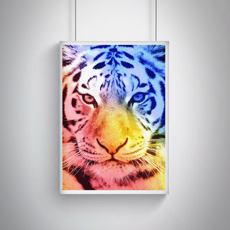 colourful animal posters