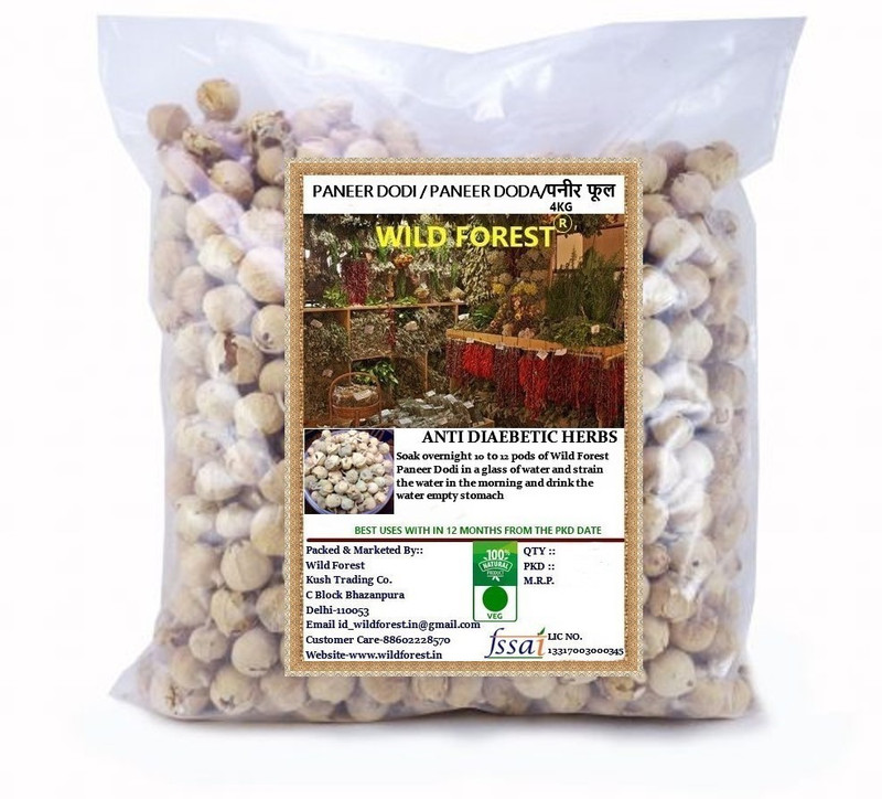 Buy WILD FOREST Paneer DODI | Indian Rennet | Paneer Doda | Paneer Ka ...