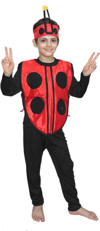 Buy Kaku Fancy Dresses Lady Bird Girl fancy dress for kids,Insect ...