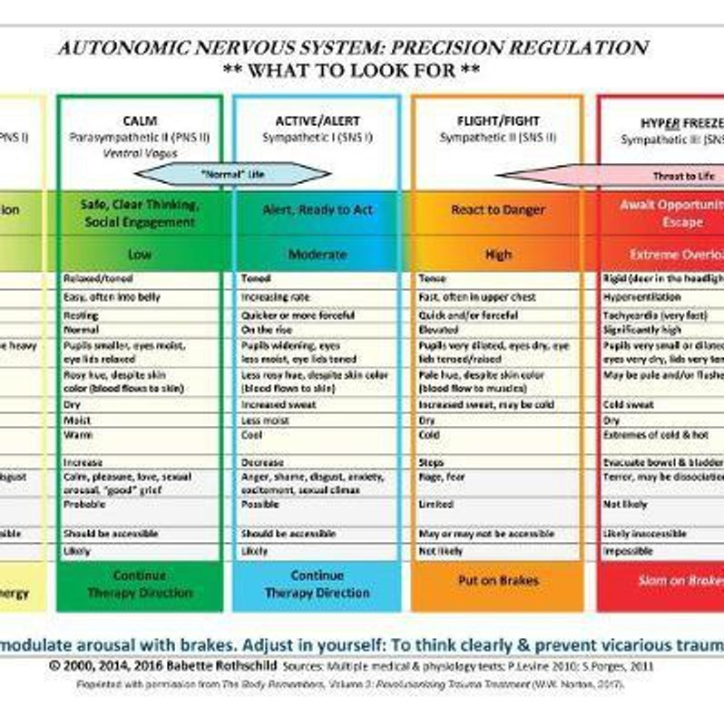 Autonomic Nervous System Table Laminated Card English Cards Rothschild ...