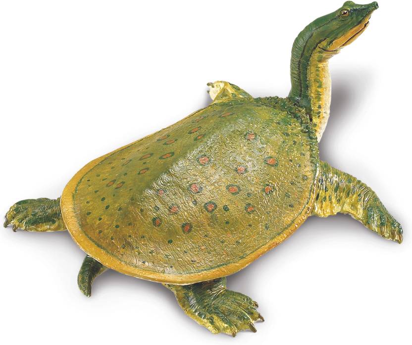 Safari Ltd IC Soft Shell Turtle - IC Soft Shell Turtle . shop for ...
