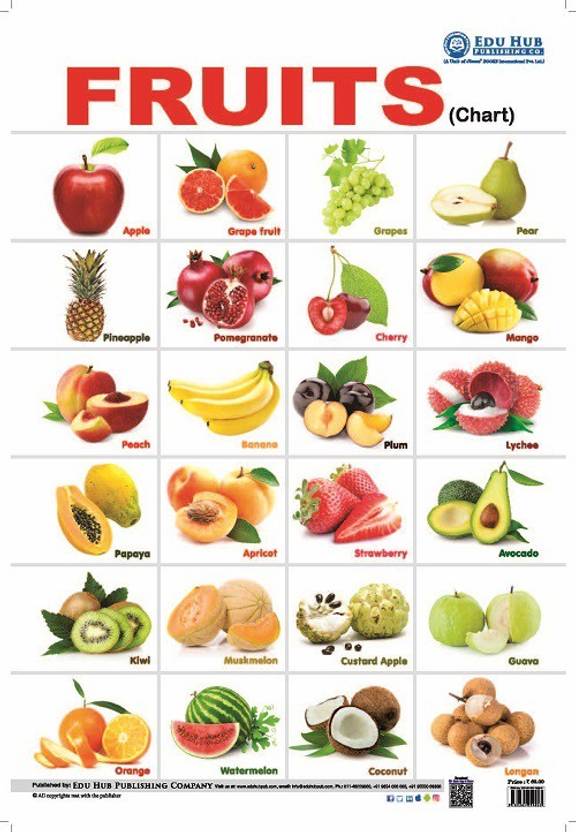 Fruits Chart: Buy Fruits Chart by NA at Low Price in India | Flipkart.com