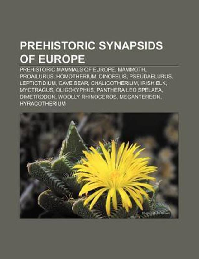 Prehistoric Synapsids of Europe: Buy Prehistoric Synapsids of Europe by ...