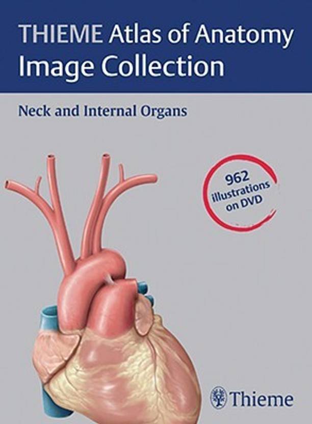 Thieme Atlas of Anatomy Image Collection--Neck and Internal Organs: Buy ...