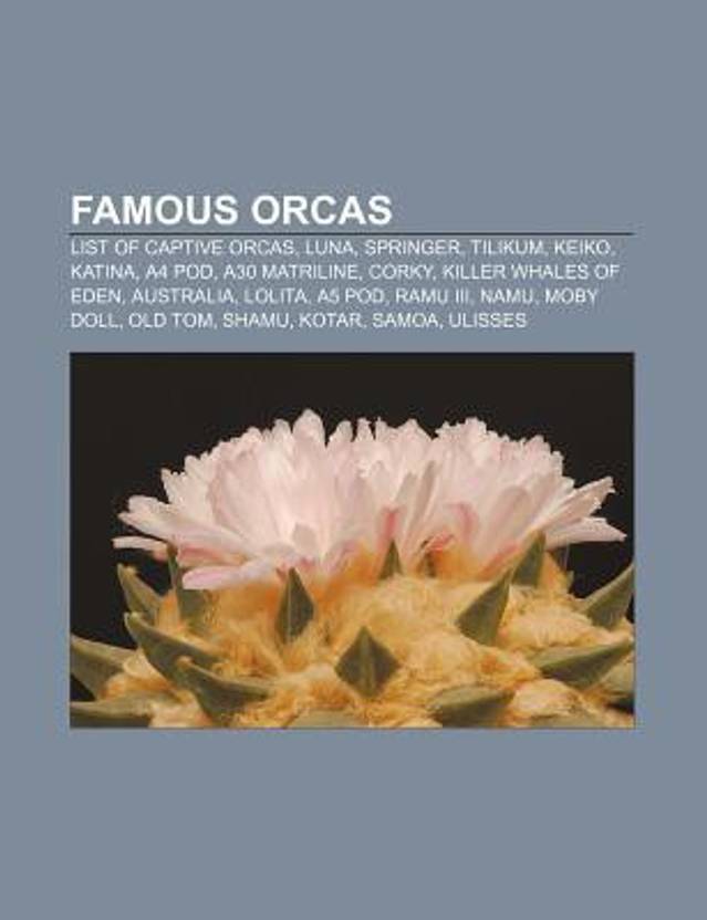 Famous orcas: List of captive orcas, Luna, Springer, Tilikum, Keiko ...