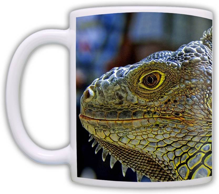 Muggies Magic Design for best iguanas 2a Ceramic Coffee Mug Price in ...