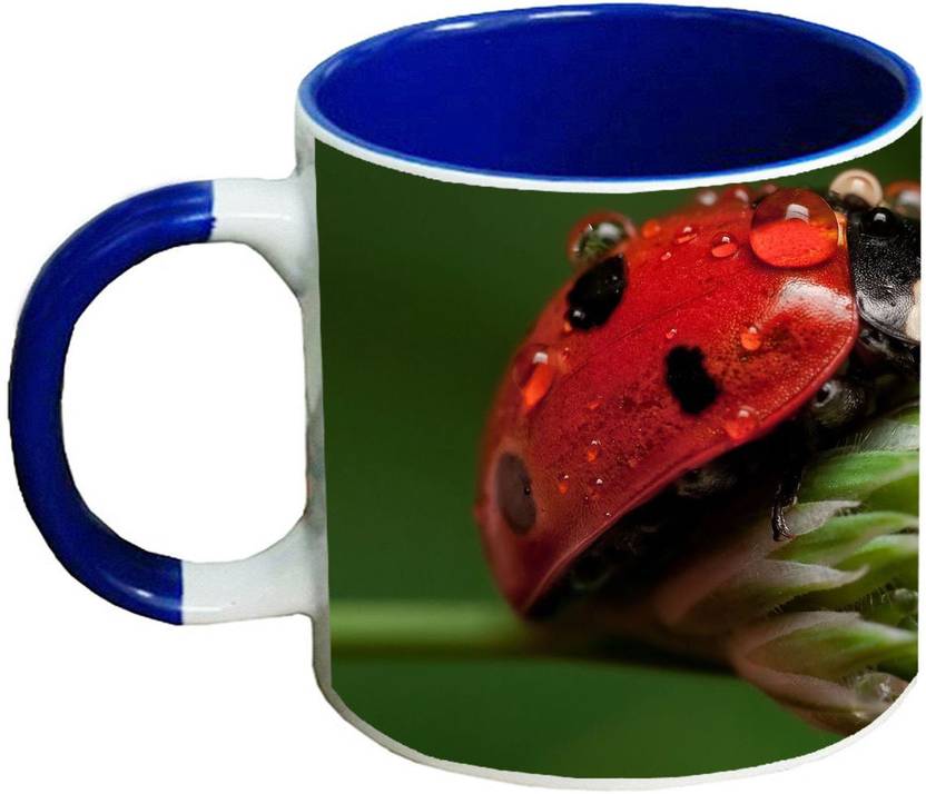 Muggies Magic Nature animals insects water drops macro Ceramic Coffee ...
