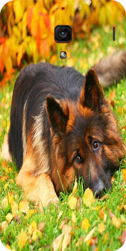 Star Infinity Back Cover for Mi Redmi 1S - Star Infinity : Flipkart.com