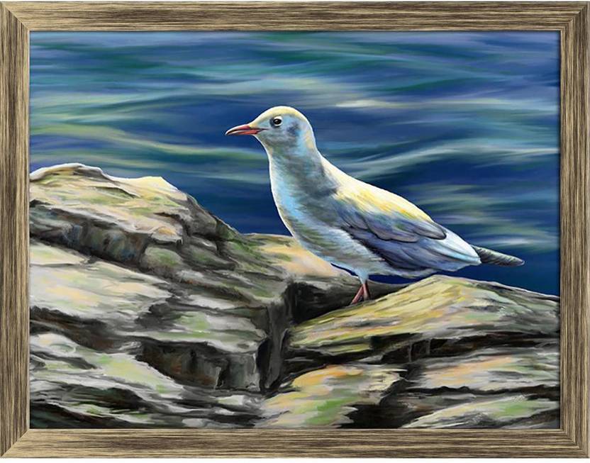 Artzfolio Seagull Resting On Rocks Framed Wall Art Painting Print ...