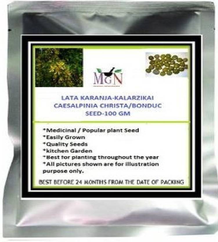 MG Naturals LATA KARANJA Seed Price in India - Buy MG Naturals LATA ...