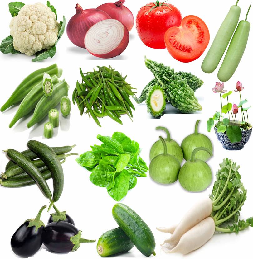 Airex Cauliflower, Onion, Tomato, Bottle Gourd, Bitter Gourd, Lady ...