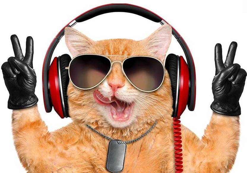 Poster | Funny Poster | Kids Room Poster | Digital Printed Poster ...