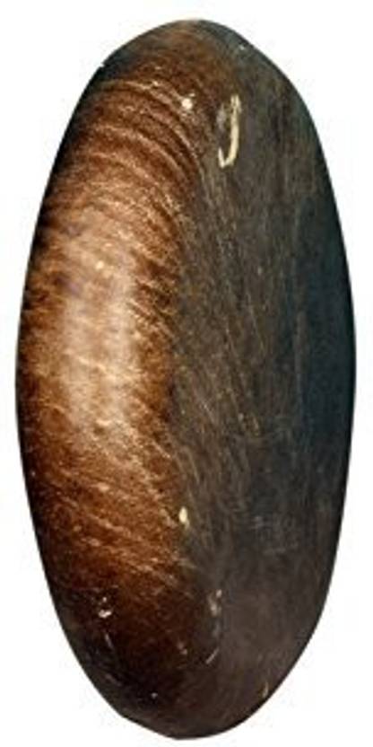 Kannan musical instruments Parai 15" inch (Baffallow skin) Daf ...