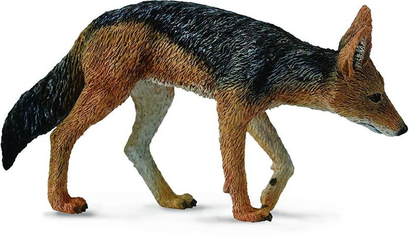 COLLECTA Black-Backed Jackal Animal Toy - Black-Backed Jackal Animal ...