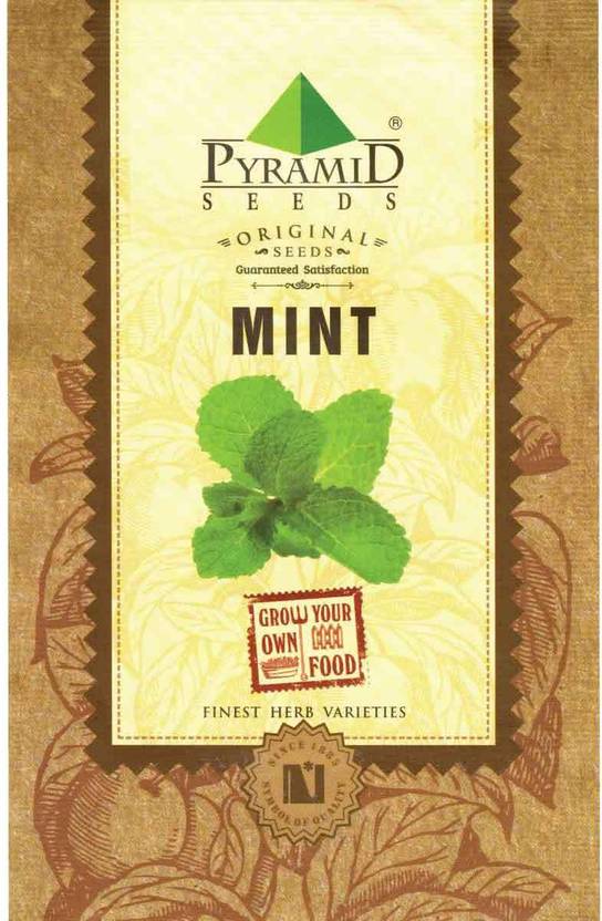 Pyramid Seeds Mint (Pudina) Seed Price in India - Buy Pyramid Seeds ...