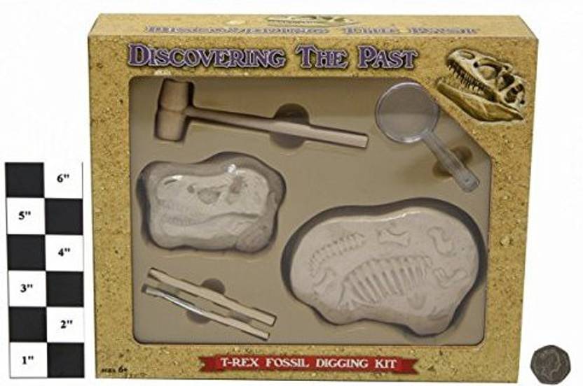 Kandy Toys T Rex Dinosaur Fossil Digging Kit - Boys Archaeology Set ... Kandy Toys T Rex Dinosaur Fossil Digging Kit - Boys Archaeology Set ...