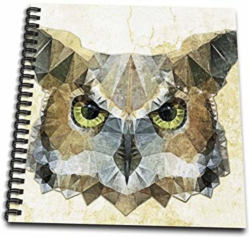 3dRose db_201604_1 Abstract Owl Funky Owl Drawing Book, 8 by 8" - db ...