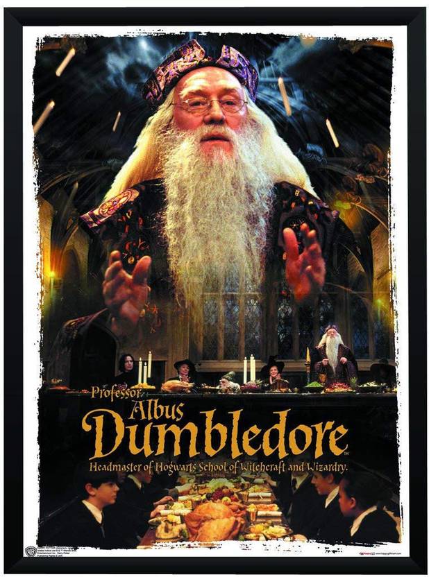 WB Official Licensed Harry Potter First Movie Albus Dumbledore Poster ...