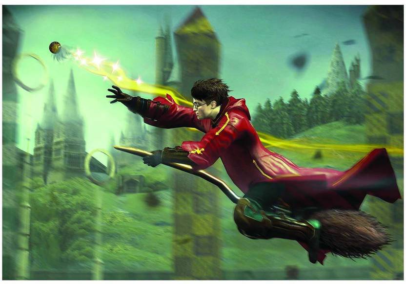 Herry Potter Quidditch Poster A3+ 13 x 19 inches Paper Print - Movies ...