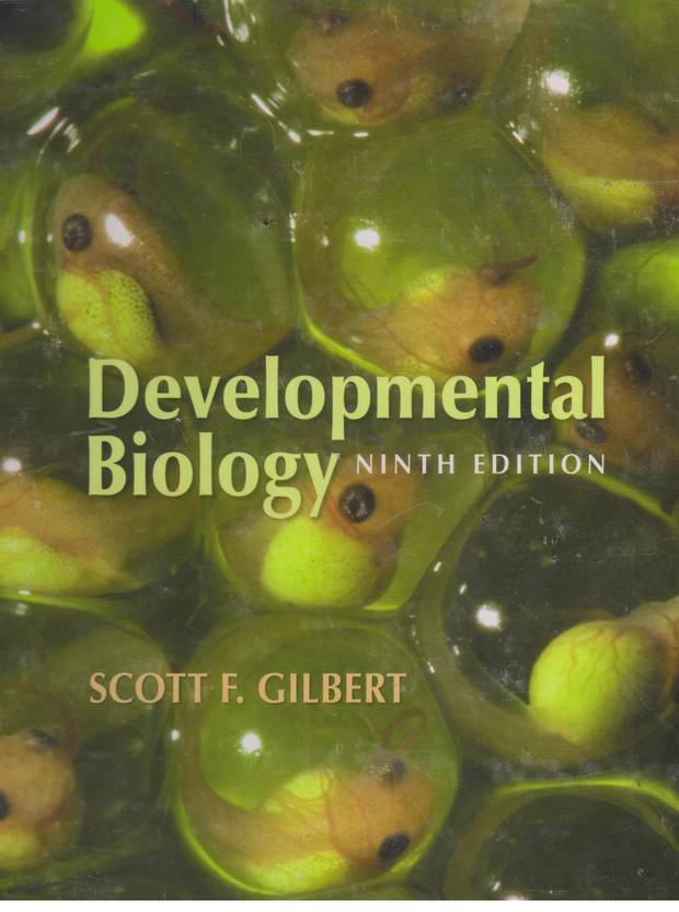 Developmental Biology: Buy Developmental Biology by Gilbert Scott F at ...