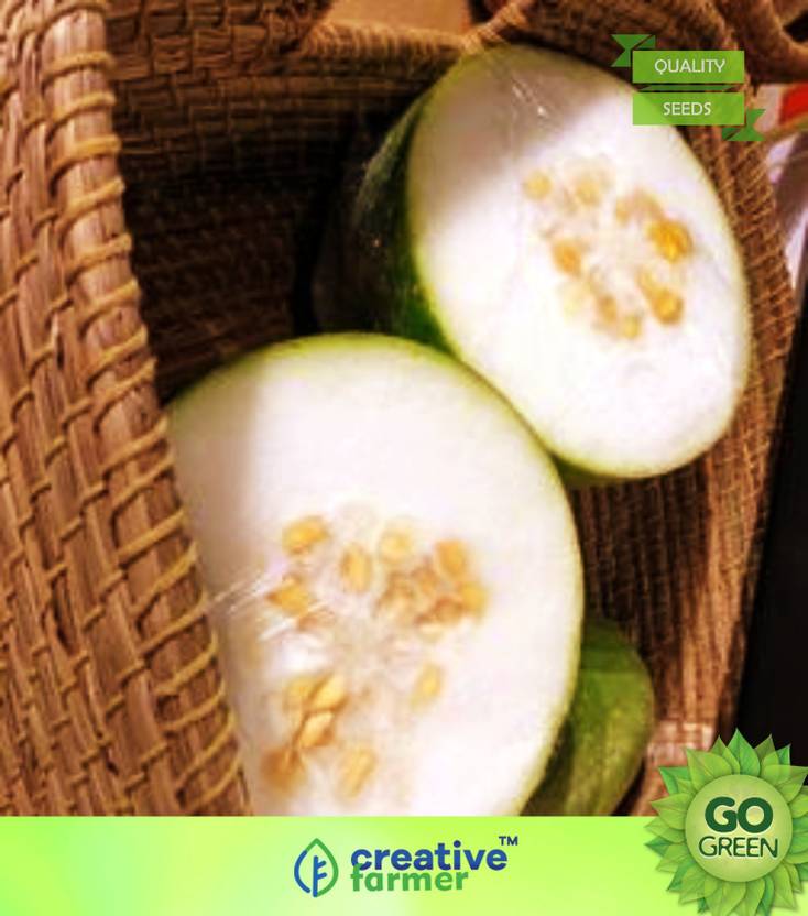 creative farmer Vegetable Seeds Chal Kumro Seeds - Ashgourd Seeds ...