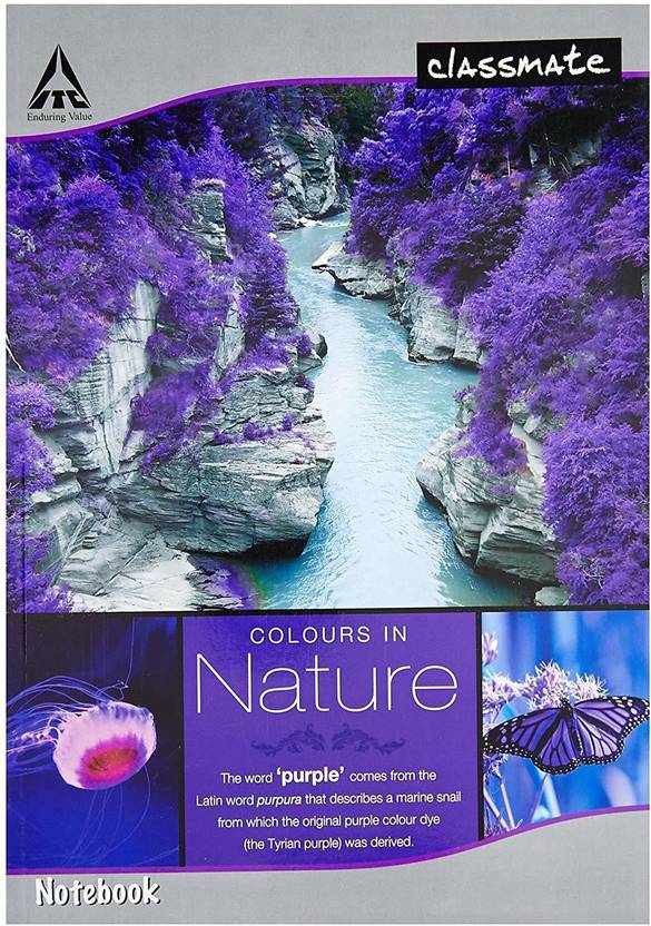 Classmate COLOURS IN NATURE A4 Notebook SINGLE RULE 304 Pages Price in ...