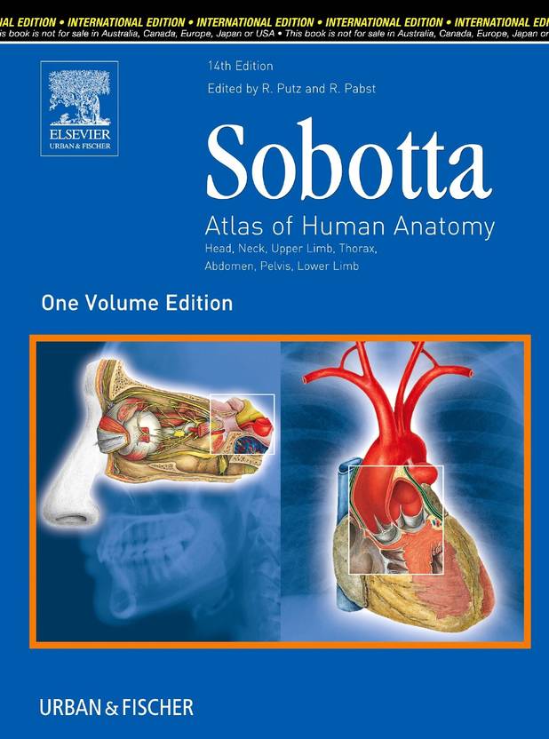 Sobotta Atlas Of Human Anatomy, 14/E One Vol. Edition 14th Edition: Buy ...