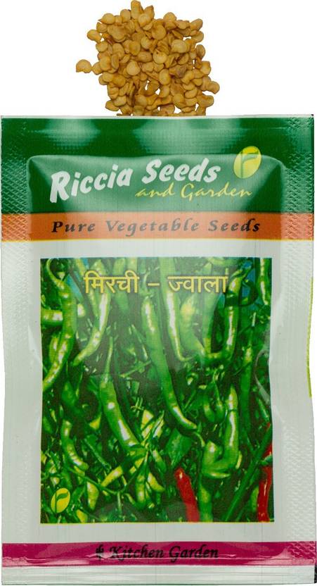 Riccia Seeds, Chilli (Mirchi) - Pusa Jwala, Non-GMO Organic, Vegetable ...