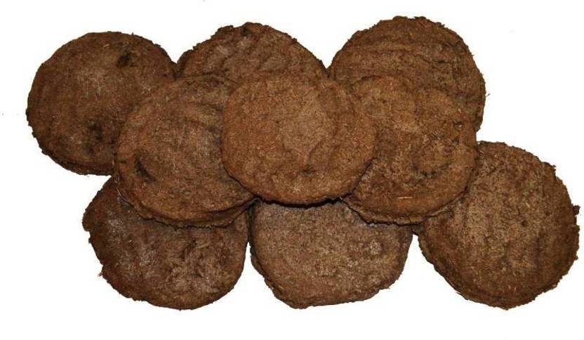 Corofitam Natural Uple Made With Pure Cow Dung For Havan and Pooja (Set ...