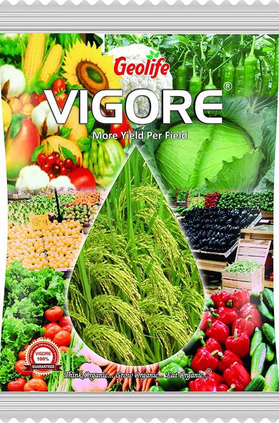 Geolife Vigore Raja Combination of Vigore + Mycorrhiza - 1 kg Manure ...