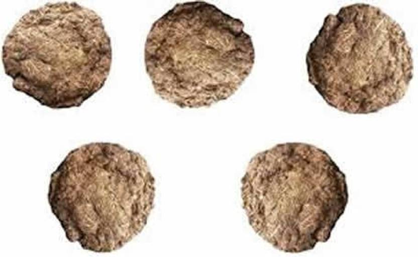 Earth Angels Desi Cow Dung Cakes - Gobar Upla for Hawan and Indian ...