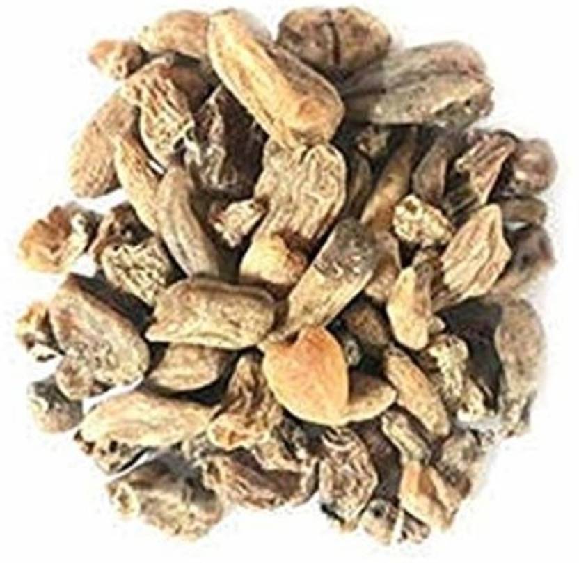 PREMIER PLANTS Salam Mishri Seed Price in India - Buy PREMIER PLANTS ...