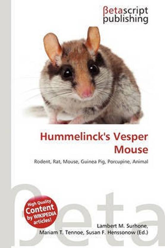 Hummelinck's Vesper Mouse: Buy Hummelinck's Vesper Mouse by unknown at ...