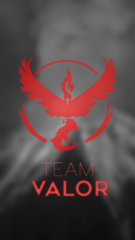 team valor pokemons sticker poster|anime poster|Pokemon poster for room ...