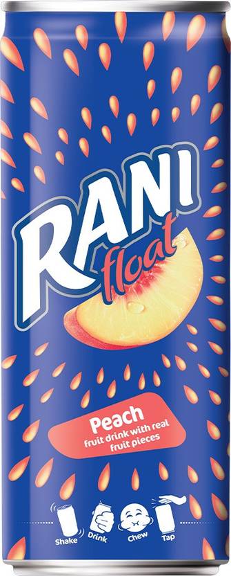 rani Float Fruit Drink with Real Fruit Pieces, Peach Price in India ...