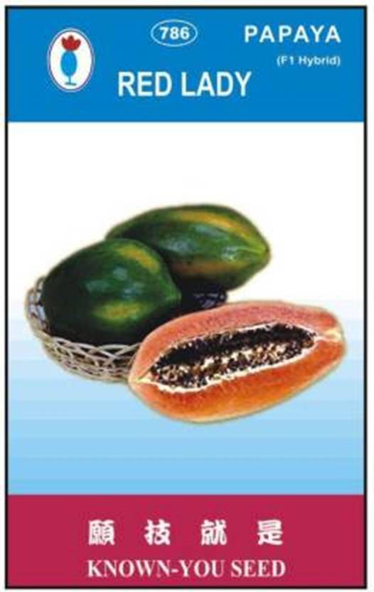 PREMIER PLANTS Red Lady Taiwan Seeds 786 Papaya Seed(100 Seeds) Seed ...