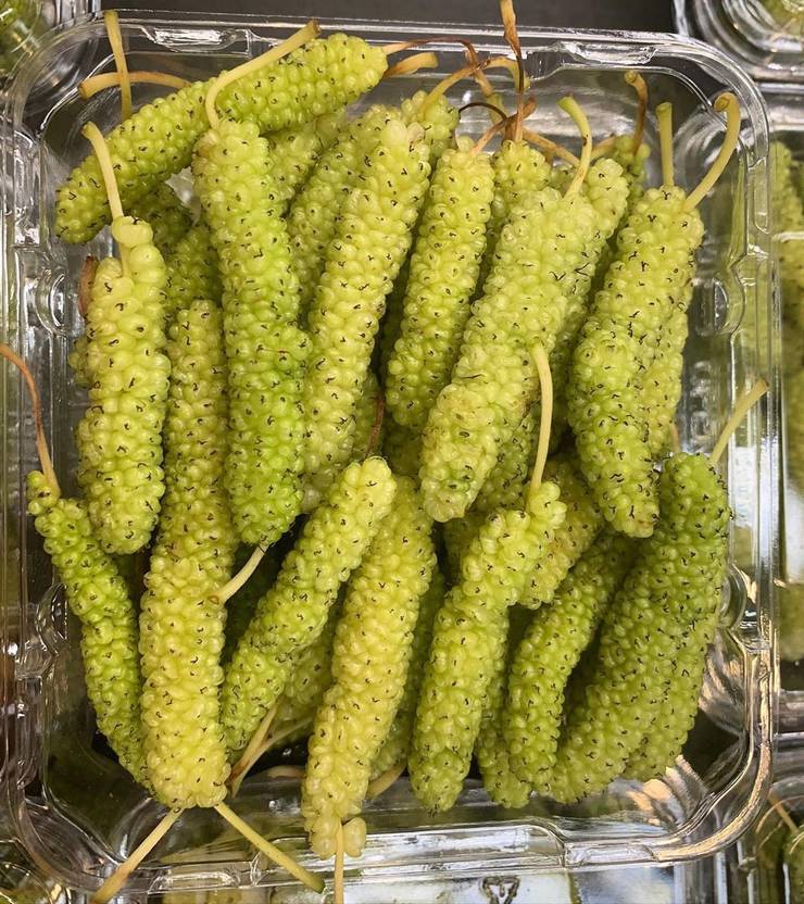 FLARE SEEDS Flare Seeds Best Mulberry (Sehtoot) Indian Fruit Seeds Seed ...