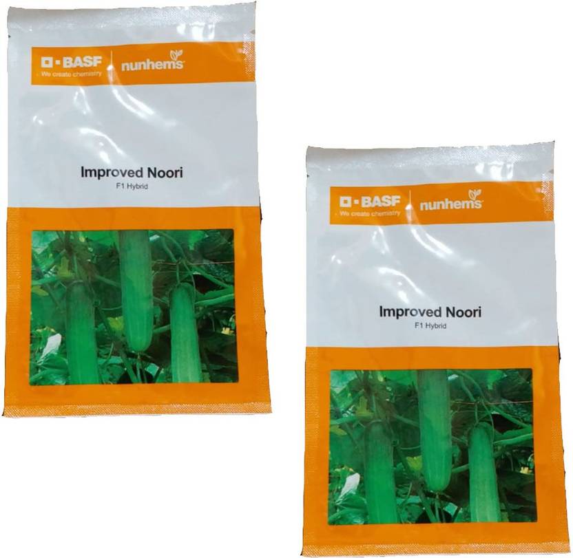 BASF Noori Seed Price in India - Buy BASF Noori Seed online at Flipkart.com