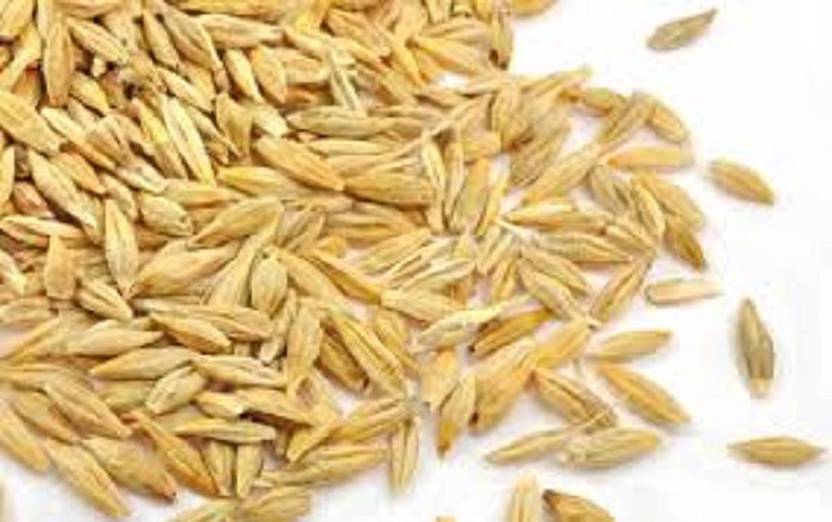 VINARGHYA Jav / Jau / Jab / Java / Yava / Javegodhi / Yavam ...