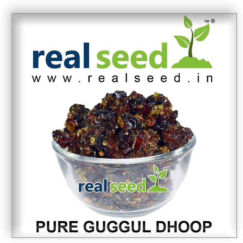 Real Seed Elegant Pure 1st Grade Quality GUGGUL, GUGGULU, GUGGAL ...