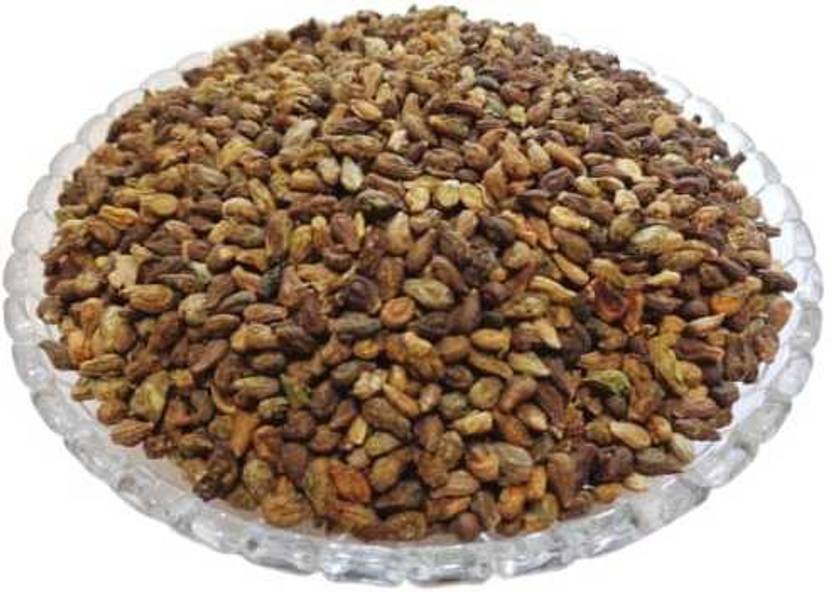 Nature Green SHIVLINGI SEEDS, SHIVLINGI BEEJ, BRYONIA LACINIOSA Seed ...