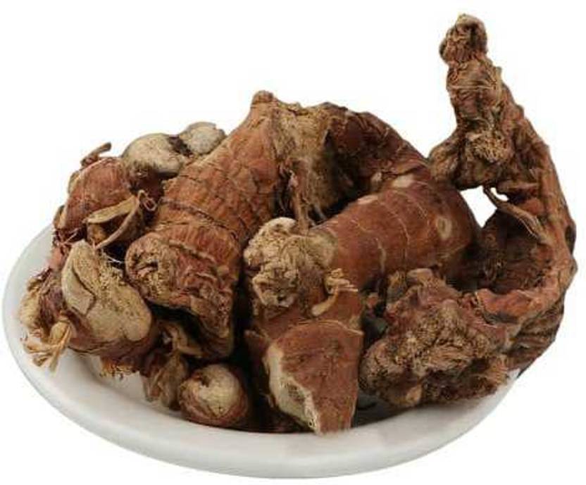 Nature Green KULANJAN, PAAN JADD, PAN JAD, ALPINIA GALANGA WILD Seed ...