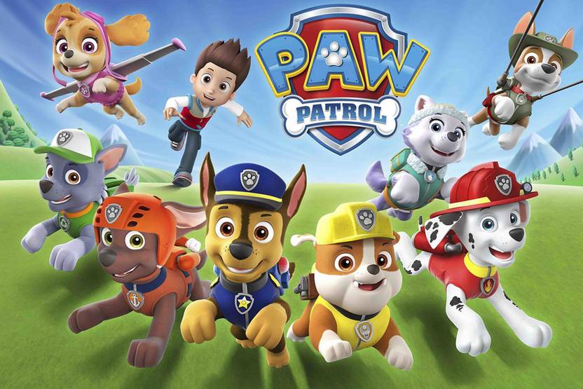 Paw Patrol Cartoon Poster-Kids Poster-High Resolution - 300 GSM ...